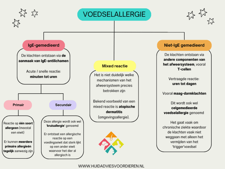 Voeding: Allergie vs intolerantie - Huidadvies voor Dieren
